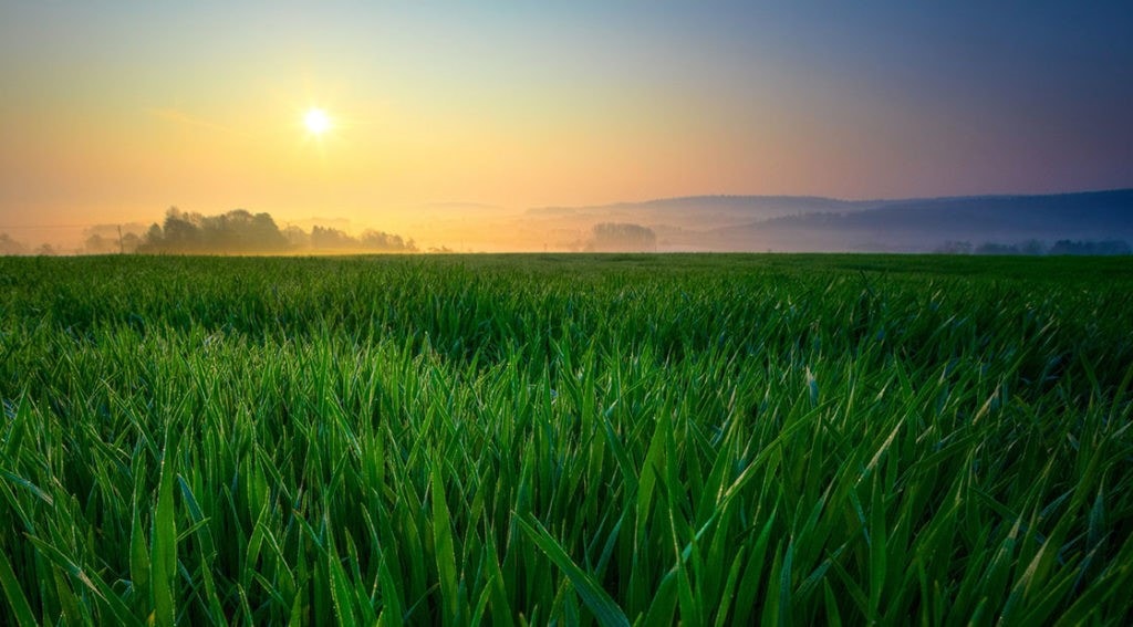 Food Classifier Milling Systems Inc